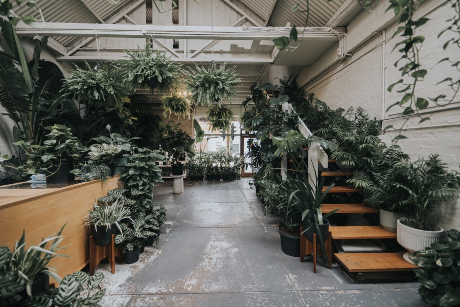 Botanicah - Creative Space - Prahran | Creative Spaces