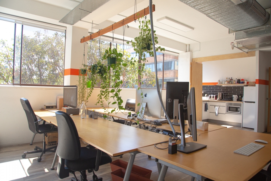 Light-Filled Shared Workspace - Surry Hills | Creative Spaces